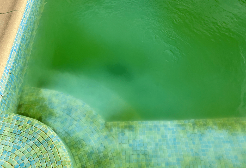 Why do I have phosphates in my swimming pool? - HTH